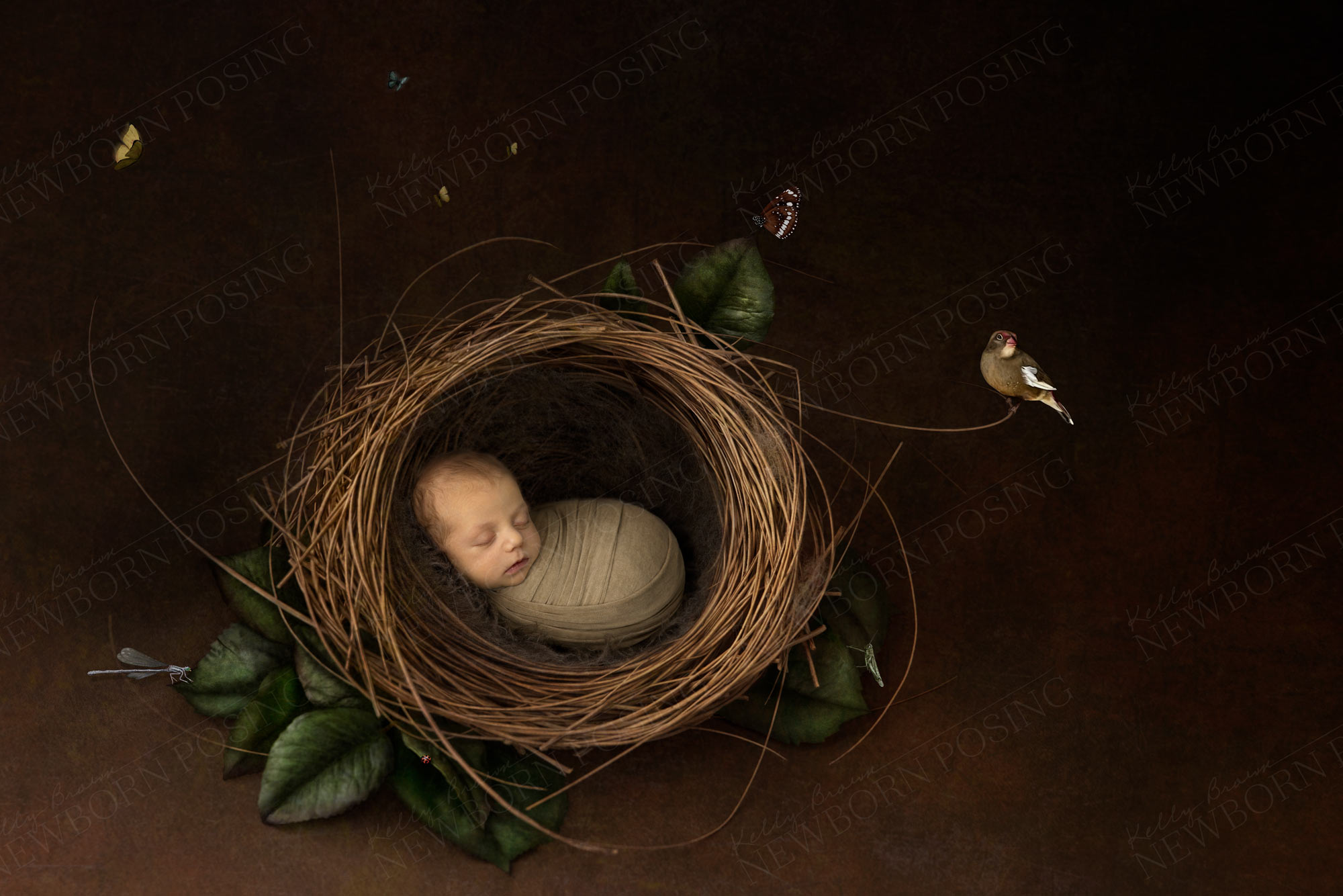 Nest & Nature Digital Background - Newborn Posing