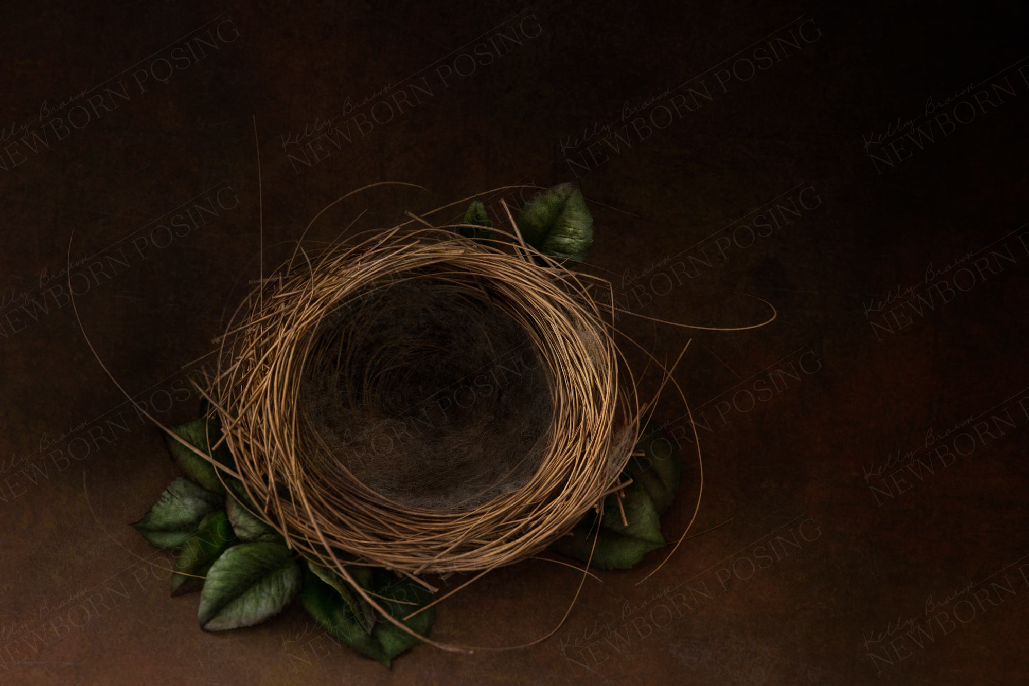 Nest & Nature Digital Background - Newborn Posing