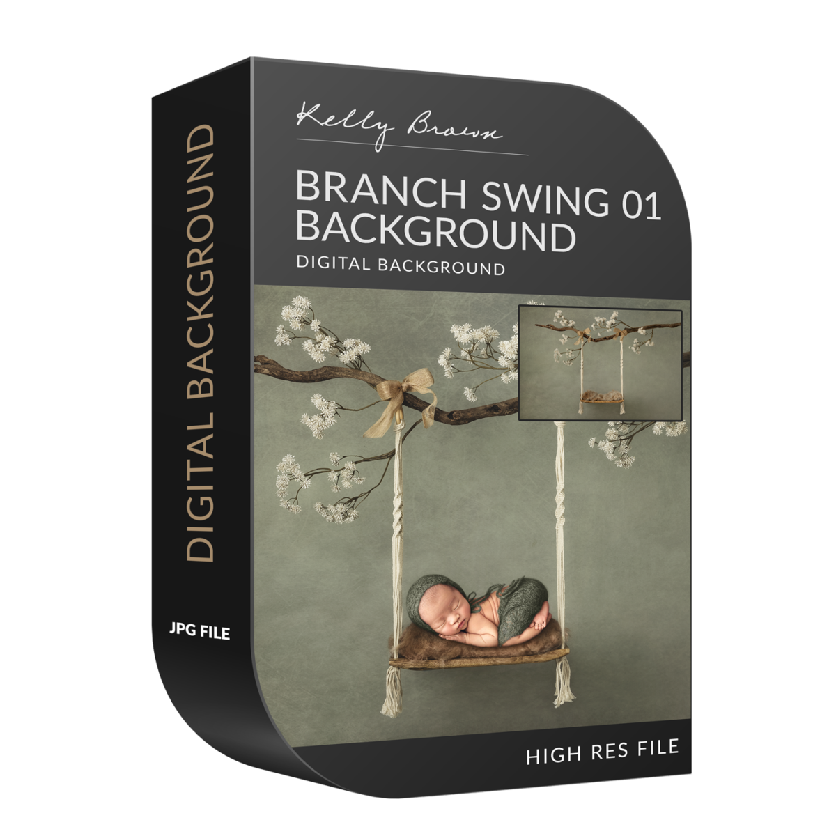 Branch Swing 01 Digital Background - Newborn Posing