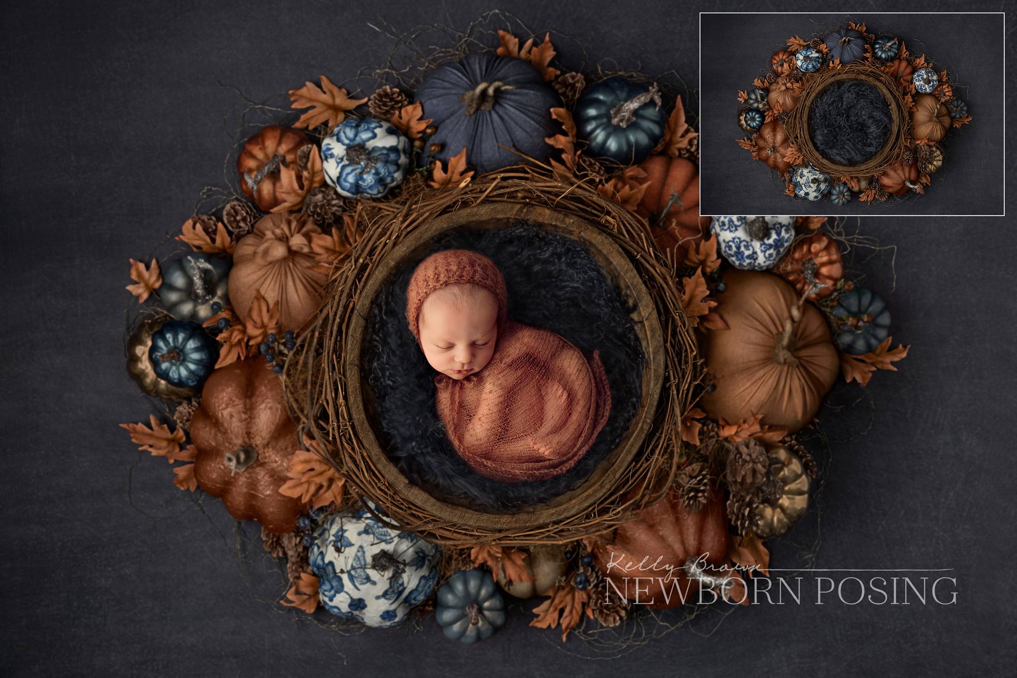 Fall Pumpkin Nest Digital Background - 01 - Newborn Posing
