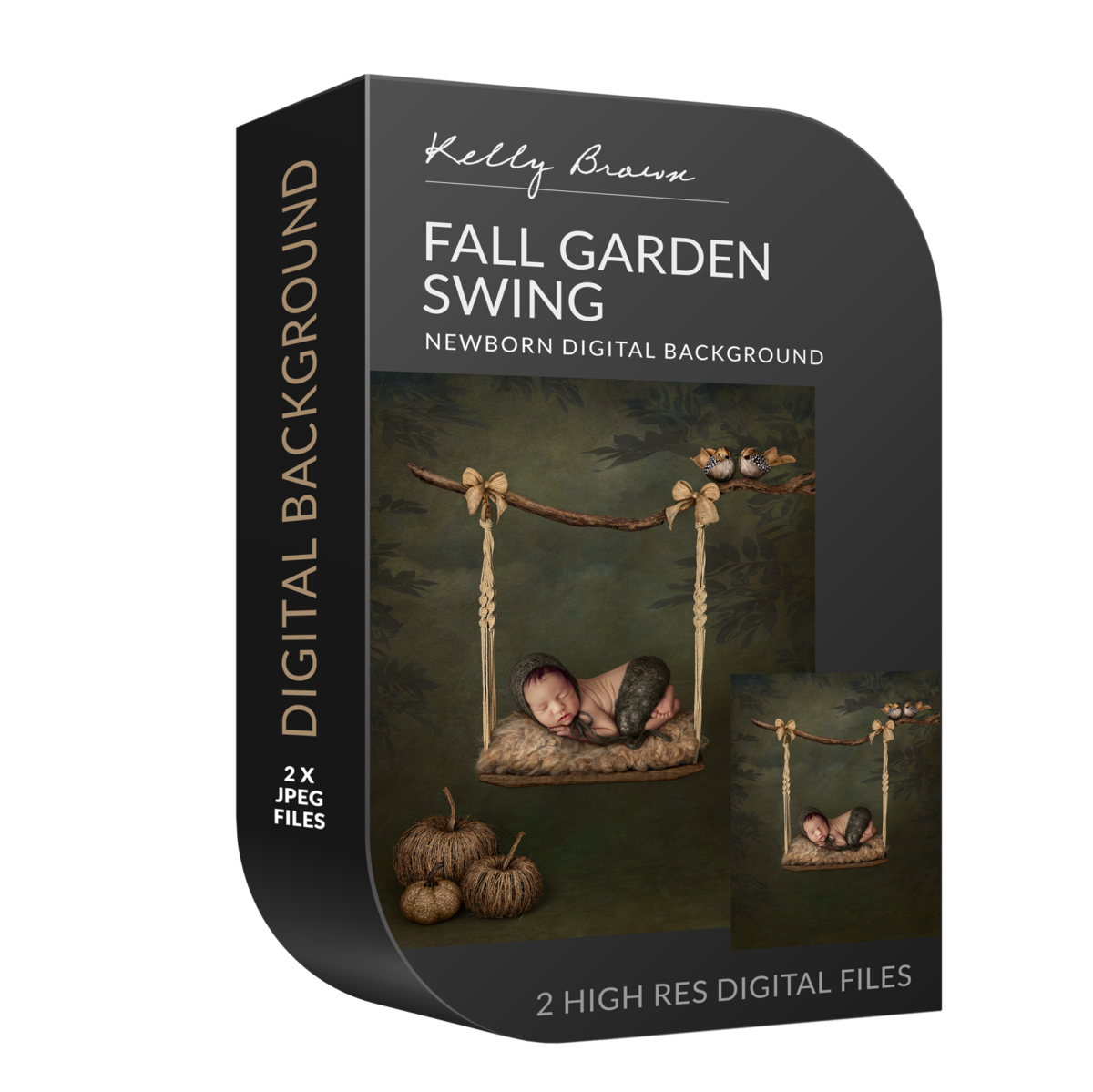 Fall Garden Swing Digital Background - Newborn Posing