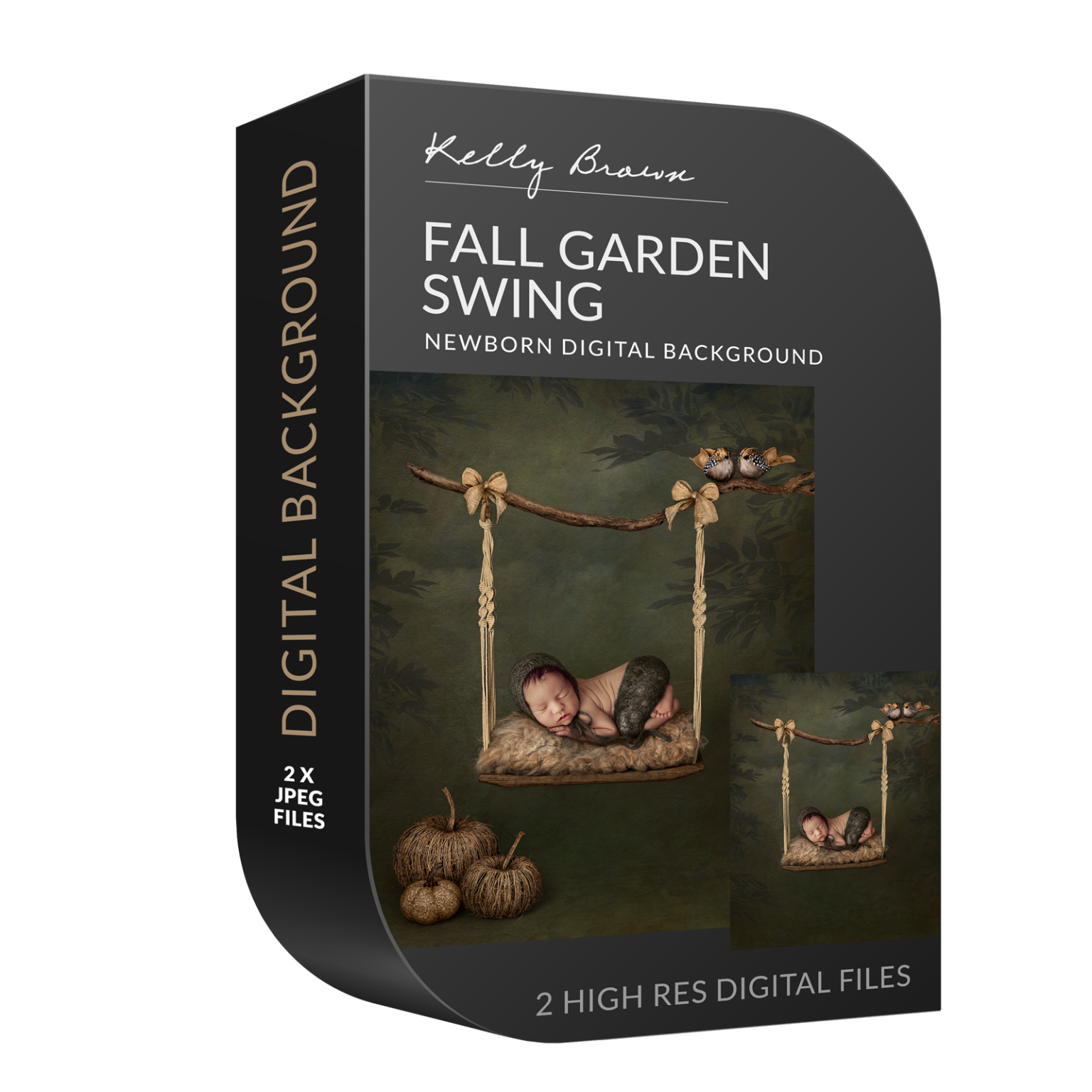 Fall Garden Swing Digital Background - Newborn Posing
