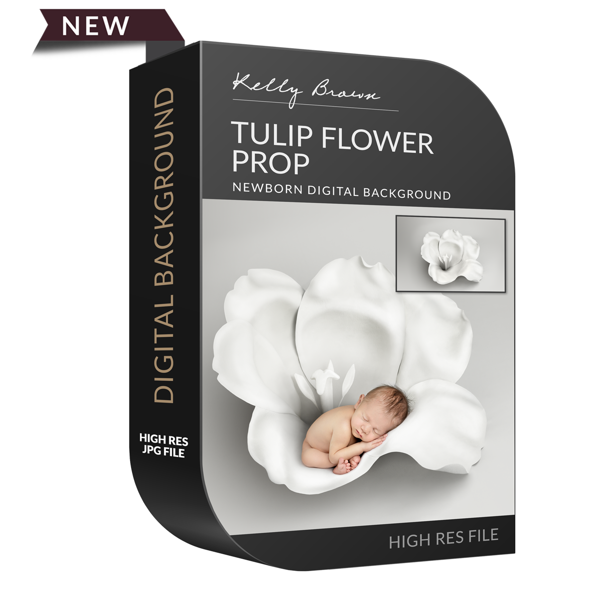 Tulip Flower Digital Background - Newborn Posing